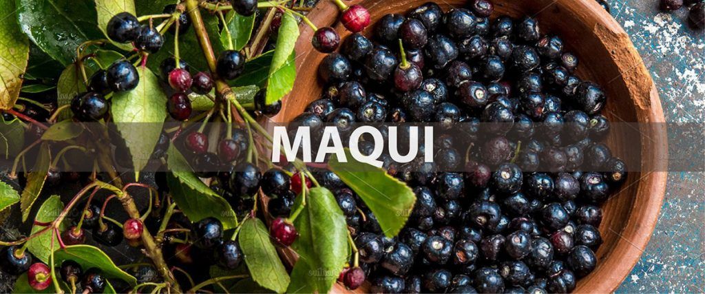 MAQUI: Un regalo Mapuche - Tostaduria Saldaña