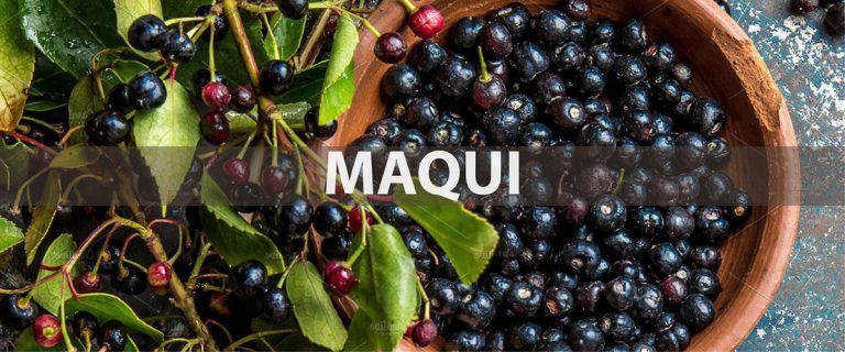 MAQUI: Un regalo Mapuche - Tostaduria Saldaña